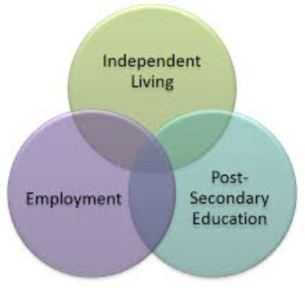 Transition Questions and Answers with Gretchen Levine – Special Ed Rising